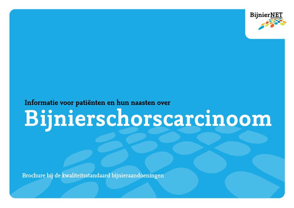 Bijniercarcinoom – drie nieuwe informatiebrochures zijn gepubliceerd | Bijniervereniging